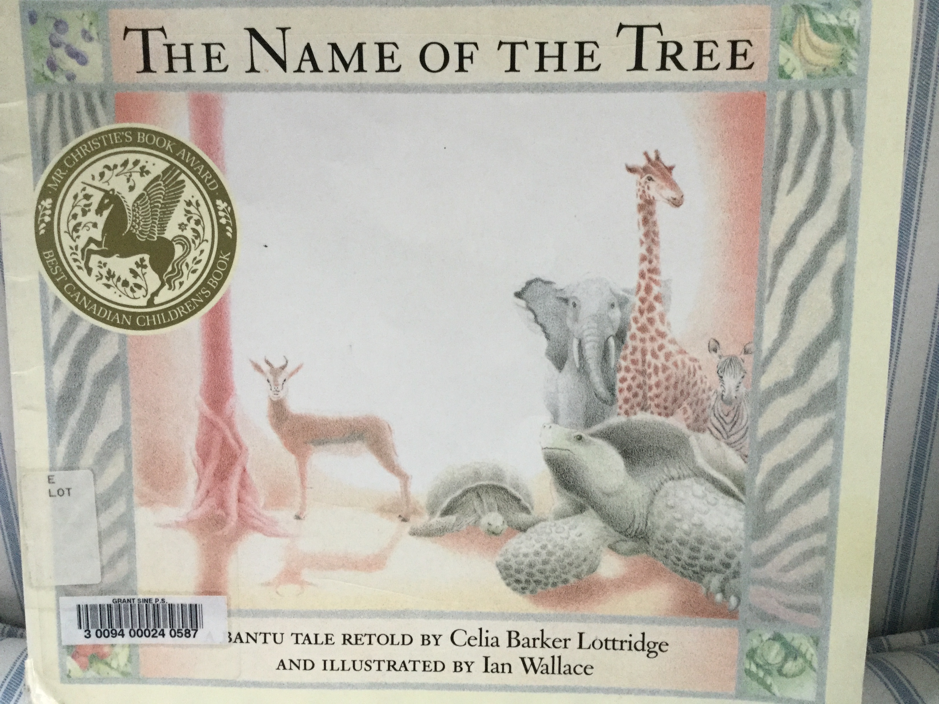The Name of the Tree – Tom MacInnes, Writer
